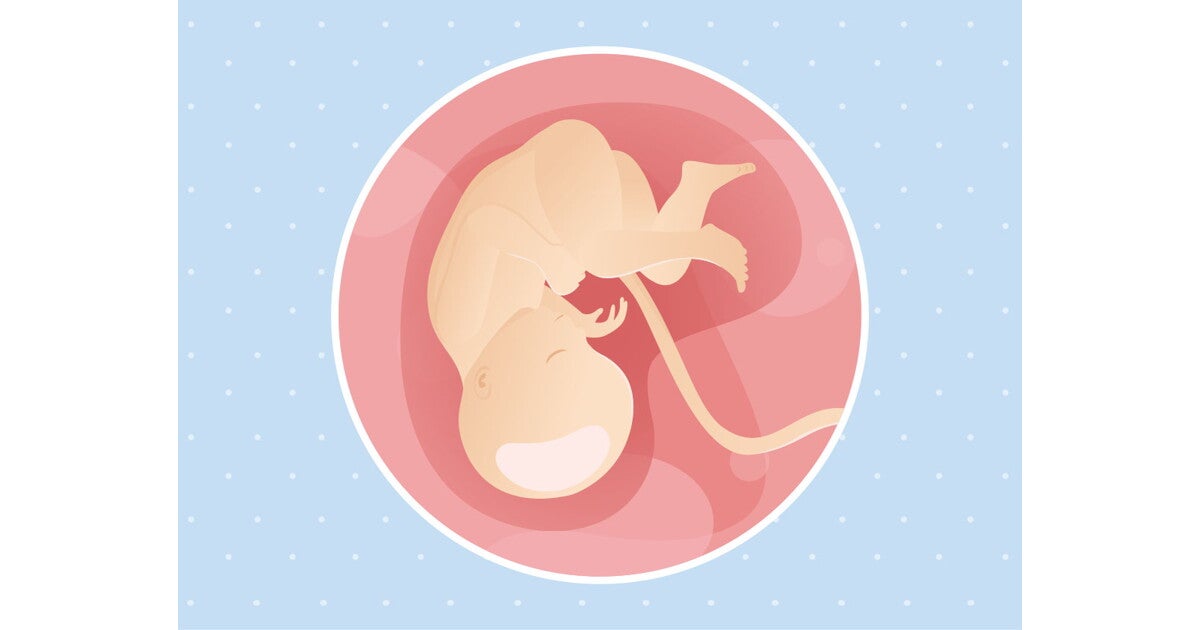 35 weeks pregnant: baby development and diet | Nestlé FamilyNes